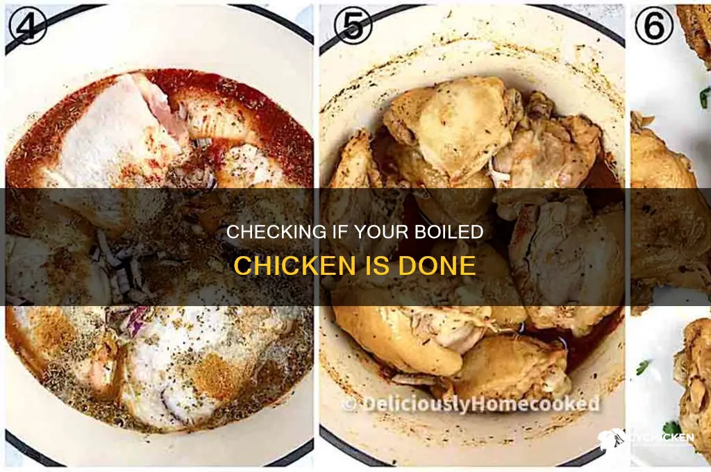 Checking If Your Boiled Chicken Is Done | CyChicken