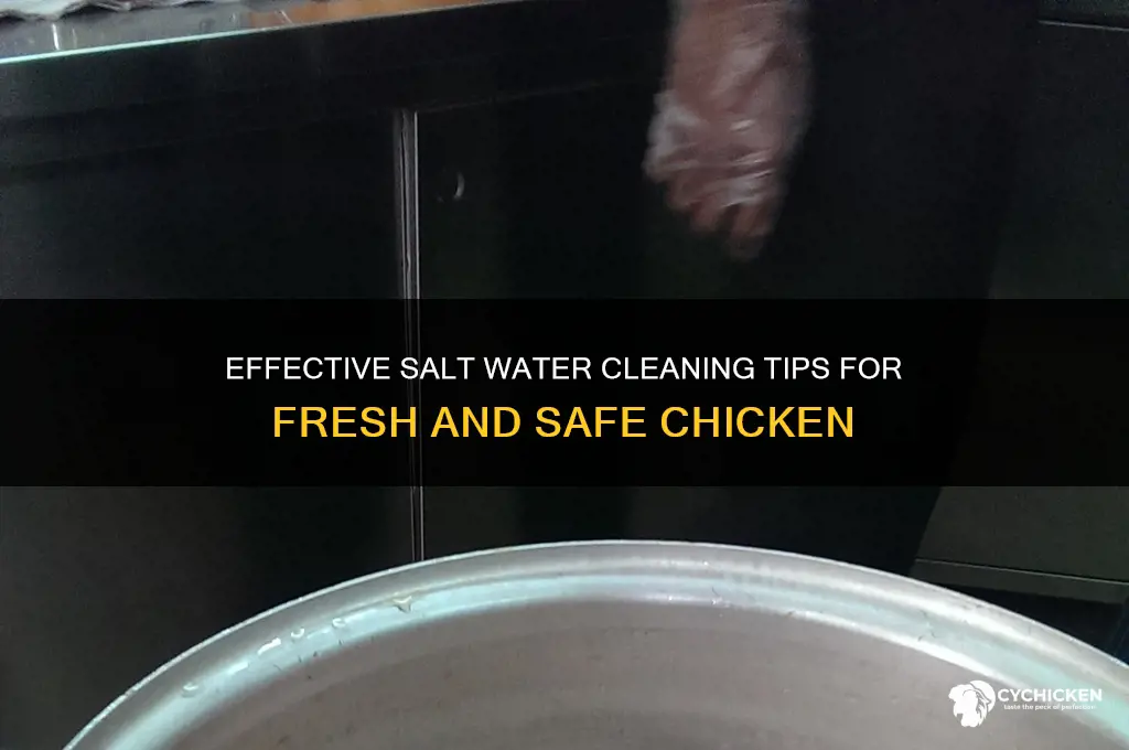 Effective Salt Water Cleaning Tips For Fresh And Safe Chicken | CyChicken