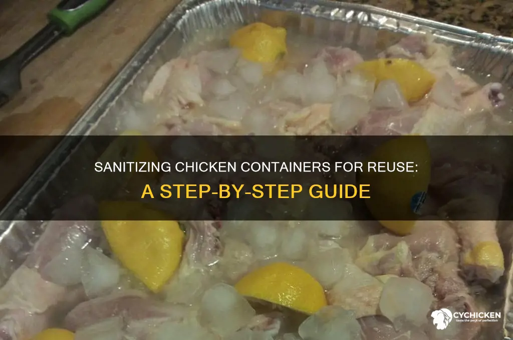 Sanitizing Chicken Containers For Reuse: A Step-By-Step Guide | CyChicken
