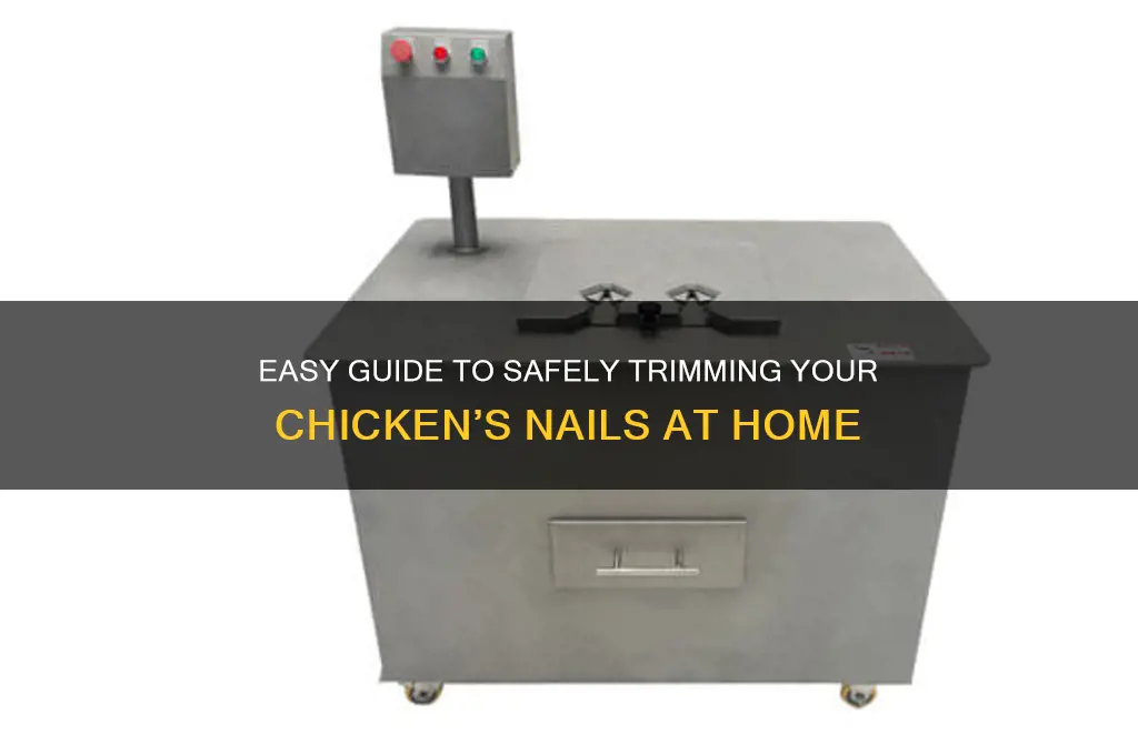 Easy Guide To Safely Trimming Your Chicken’S Nails At Home | CyChicken