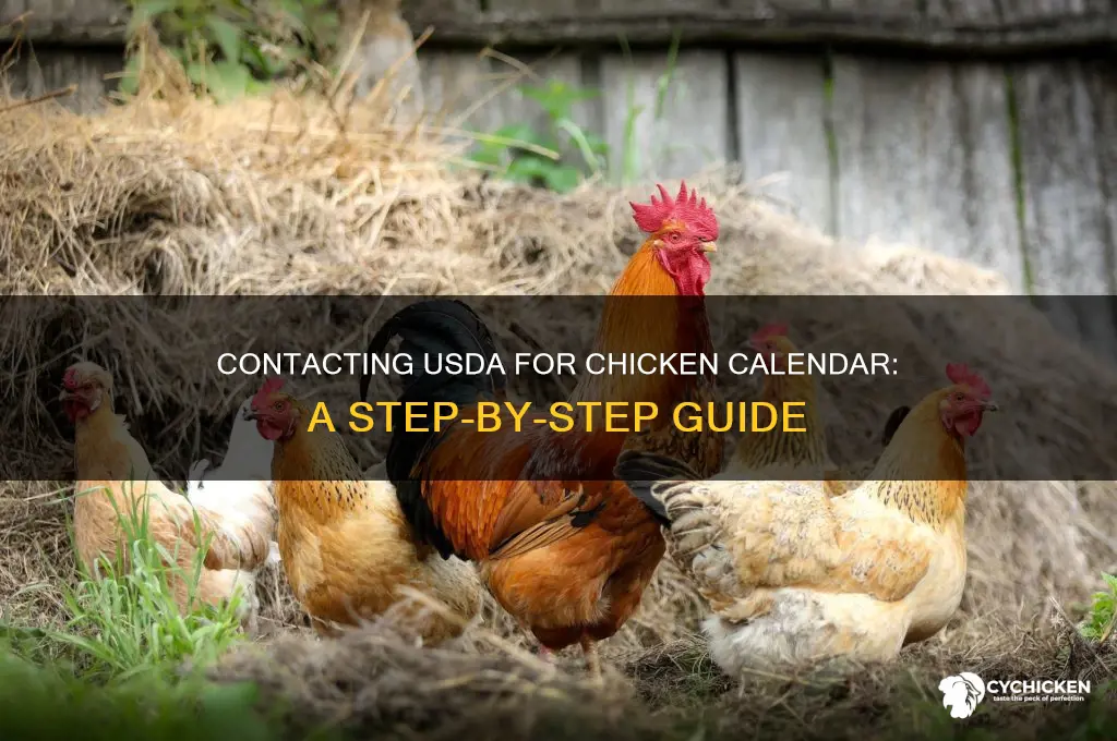 Contacting Usda For Chicken Calendar: A Step-By-Step Guide | CyChicken