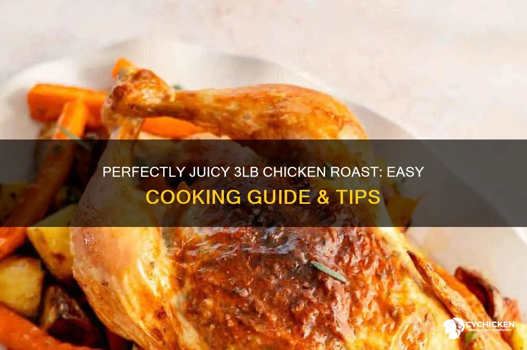 Perfectly Juicy 3Lb Chicken Roast: Easy Cooking Guide & Tips | CyChicken