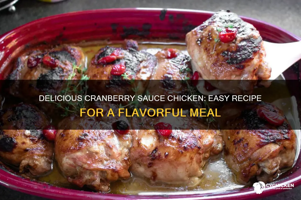 Delicious Cranberry Sauce Chicken: Easy Recipe For A Flavorful Meal ...
