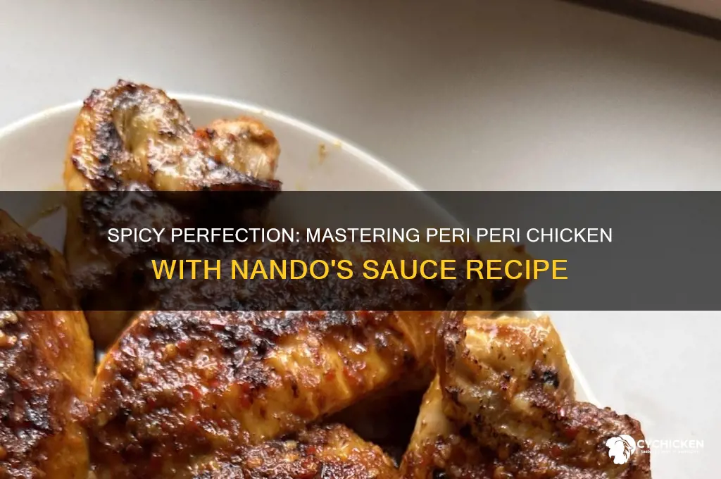 Spicy Perfection: Mastering Peri Peri Chicken With Nando's Sauce Recipe ...