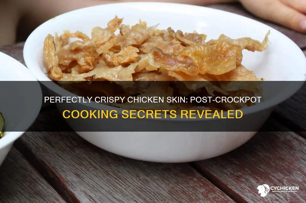 Perfectly Crispy Chicken Skin: Post-Crockpot Cooking Secrets Revealed ...