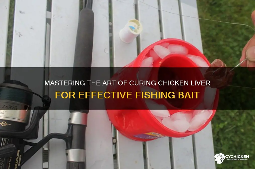 Mastering The Art Of Curing Chicken Liver For Effective Fishing Bait ...