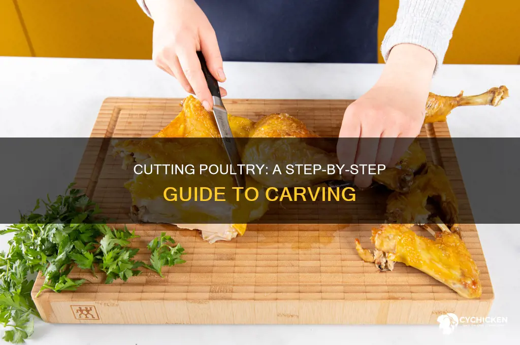 Cutting Poultry: A Step-By-Step Guide To Carving | CyChicken