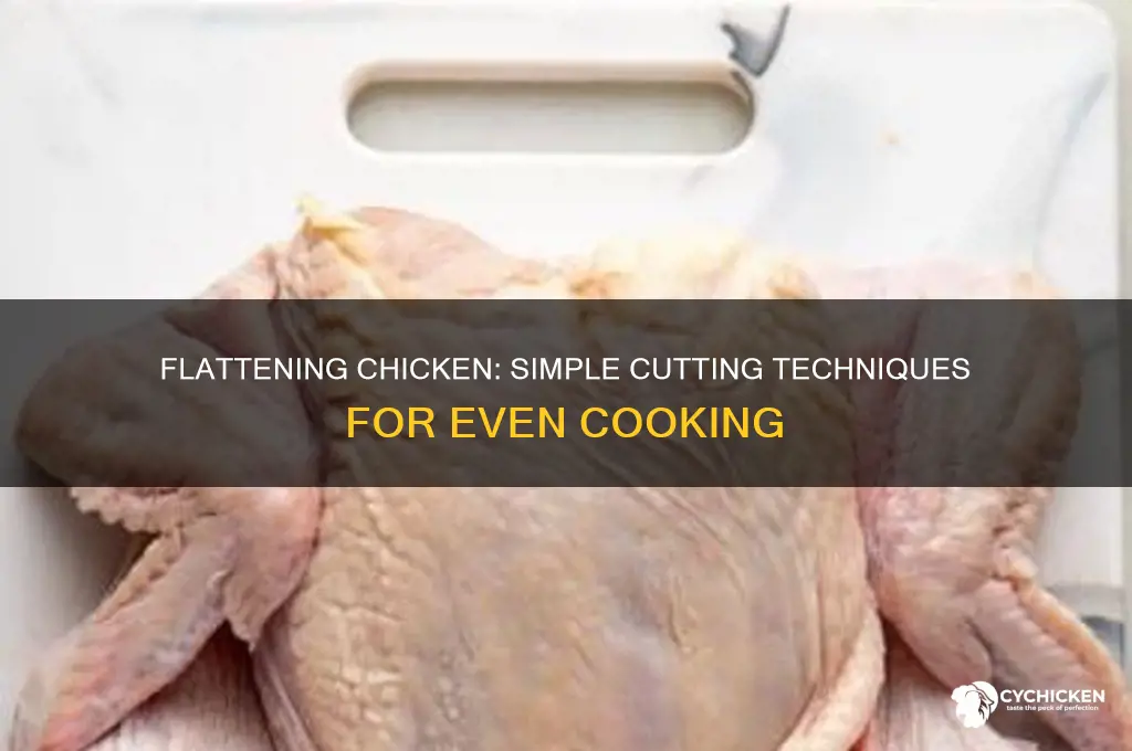 Flattening Chicken: Simple Cutting Techniques For Even Cooking | CyChicken