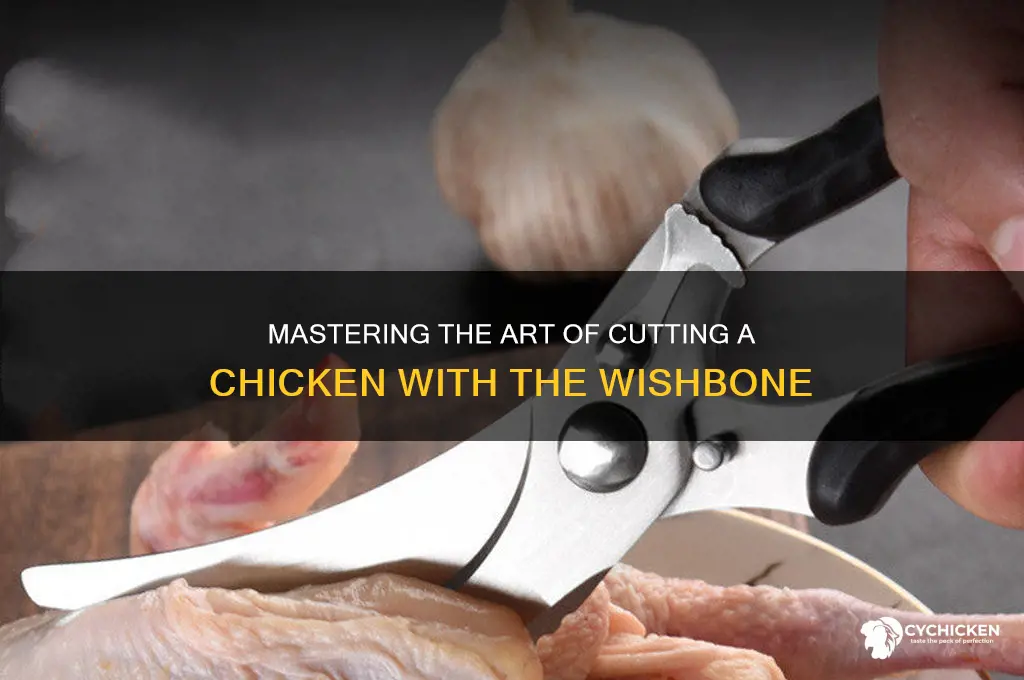 Mastering The Art Of Cutting A Chicken With The Wishbone | CyChicken