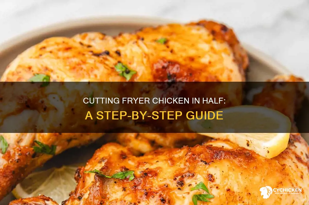 Cutting Fryer Chicken In Half: A Step-By-Step Guide | CyChicken