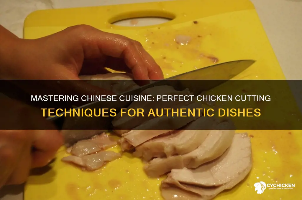 Mastering Chinese Cuisine: Perfect Chicken Cutting Techniques For ...