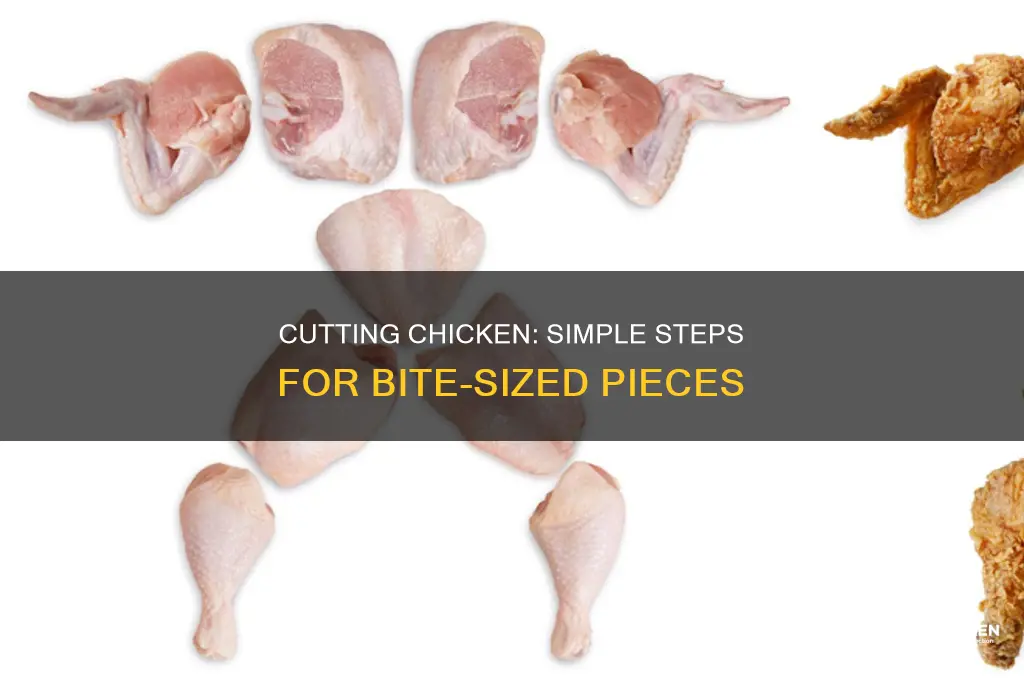 Cutting Chicken: Simple Steps For Bite-Sized Pieces | CyChicken