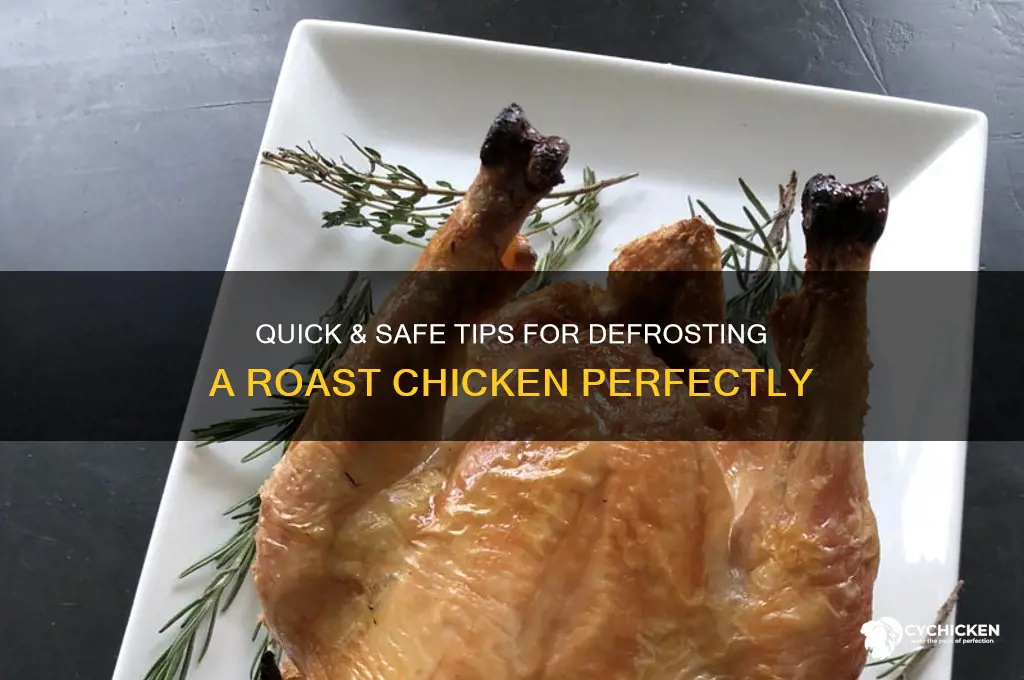 Quick & Safe Tips For Defrosting A Roast Chicken Perfectly | CyChicken