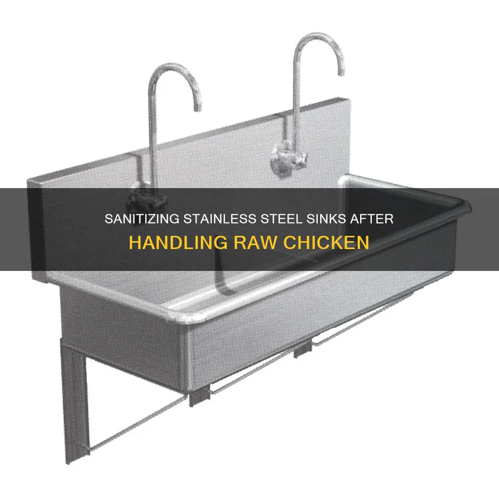 Sanitizing Stainless Steel Sinks After Handling Raw Chicken | CyChicken