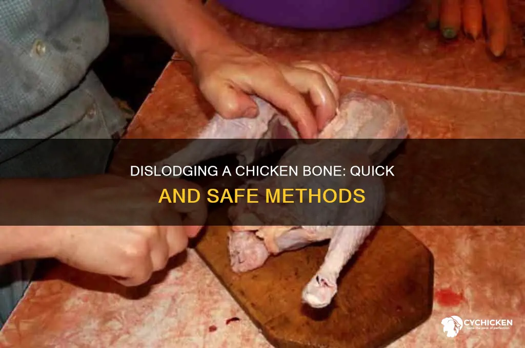 Dislodging A Chicken Bone: Quick And Safe Methods | CyChicken