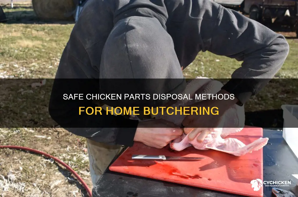 Safe Chicken Parts Disposal Methods For Home Butchering | CyChicken