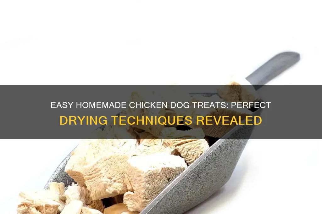 Easy Homemade Chicken Dog Treats: Perfect Drying Techniques Revealed ...