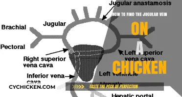 Uncovering Popeye's Franchise Owners: Who's Behind The Chicken? | CyChicken