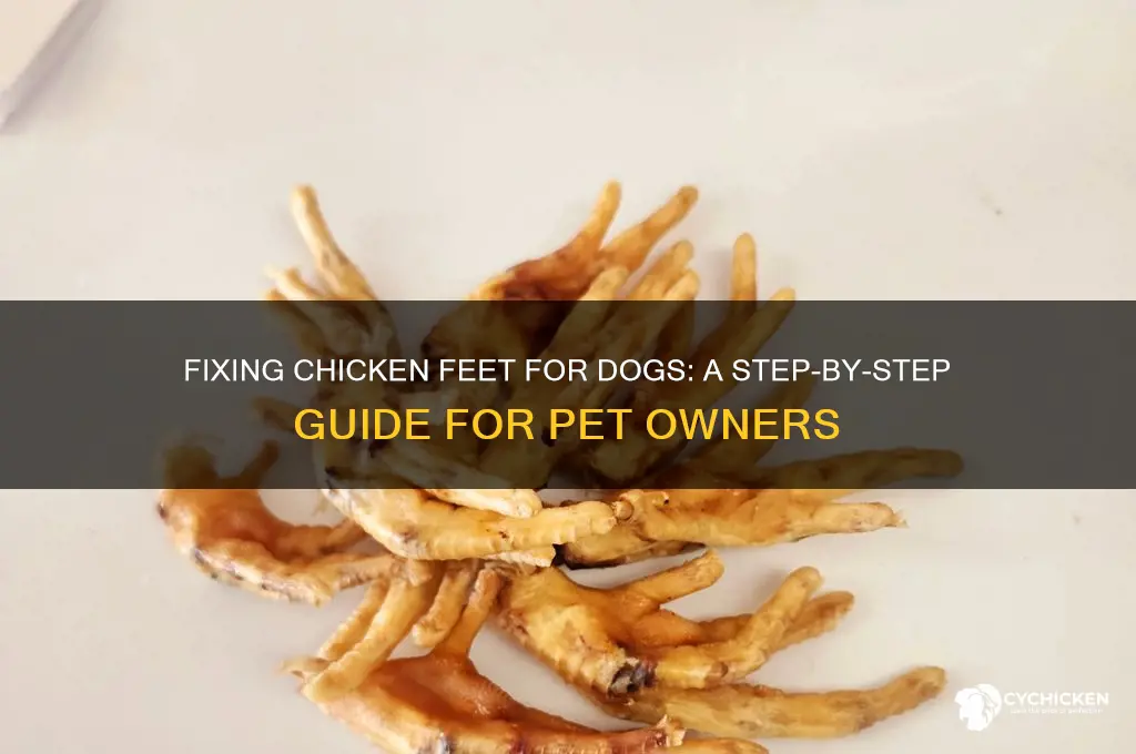 Fixing Chicken Feet For Dogs: A Step-By-Step Guide For Pet Owners ...
