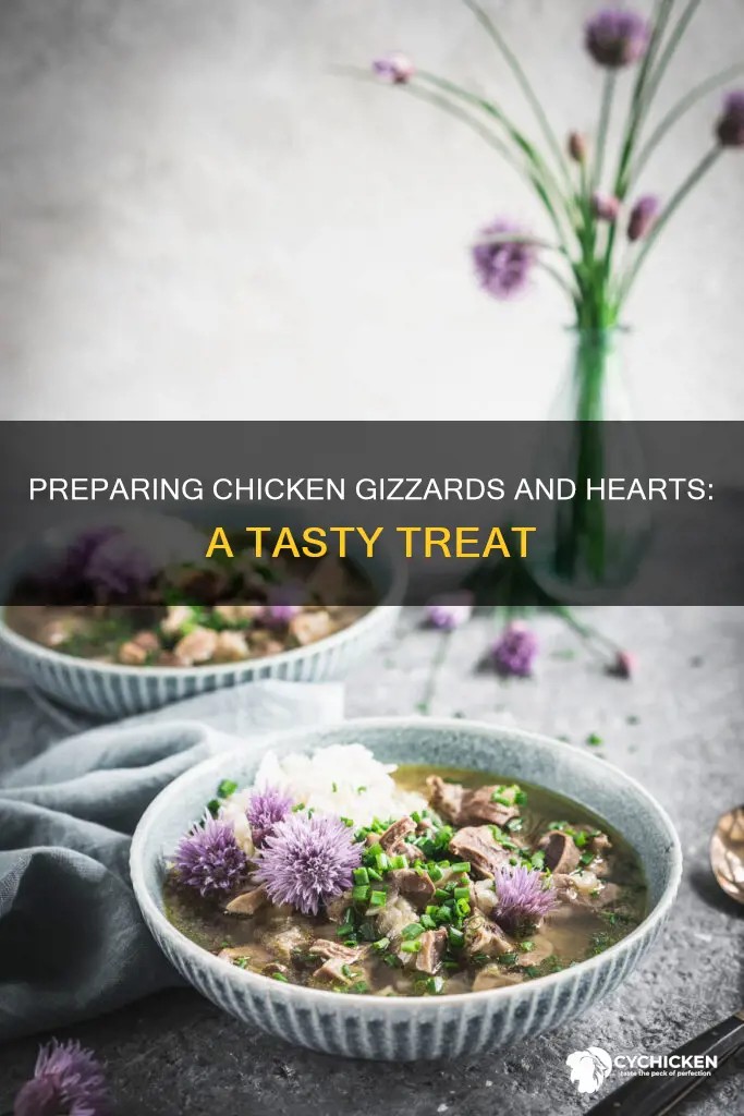 Preparing Chicken Gizzards And Hearts: A Tasty Treat | CyChicken