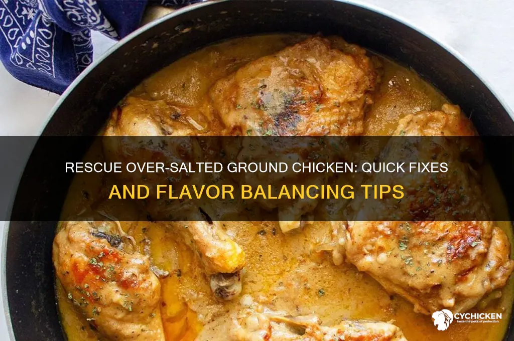 Rescue Over-Salted Ground Chicken: Quick Fixes And Flavor Balancing ...