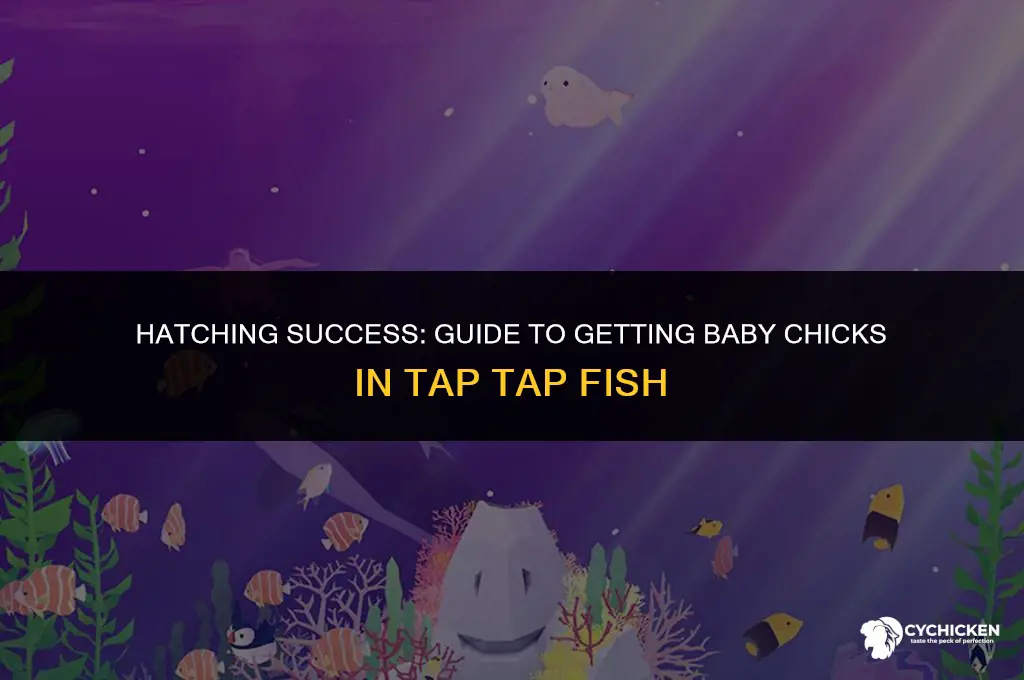 Hatching Success: Guide To Getting Baby Chicks In Tap Tap Fish | CyChicken