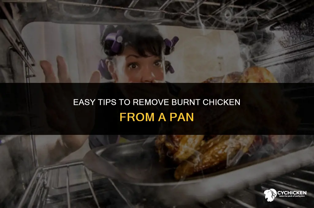 Easy Tips To Remove Burnt Chicken From A Pan | CyChicken