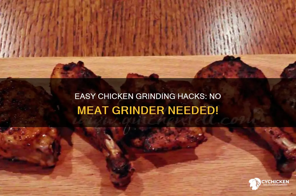Easy Chicken Grinding Hacks: No Meat Grinder Needed! | CyChicken