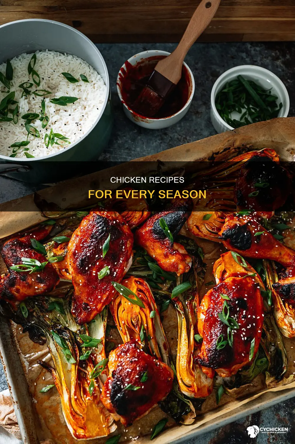 Chicken Recipes For Every Season | CyChicken