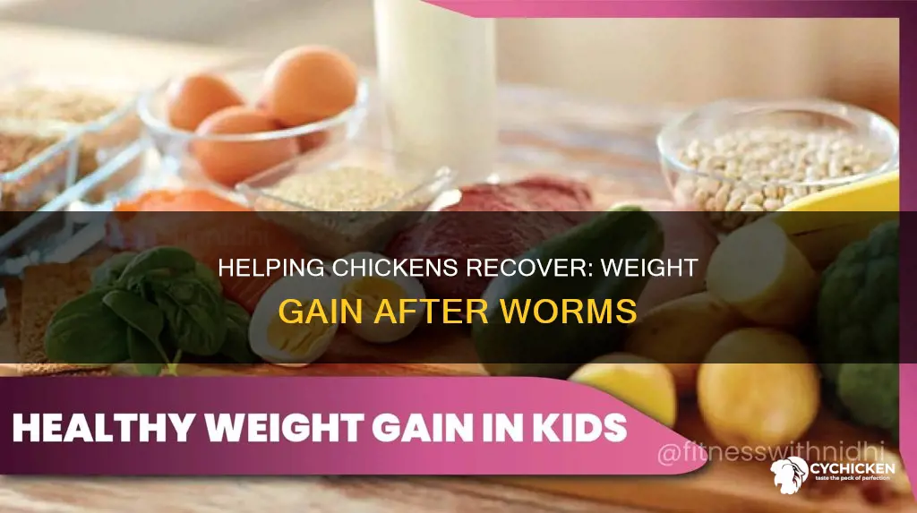 Helping Chickens Recover: Weight Gain After Worms | CyChicken