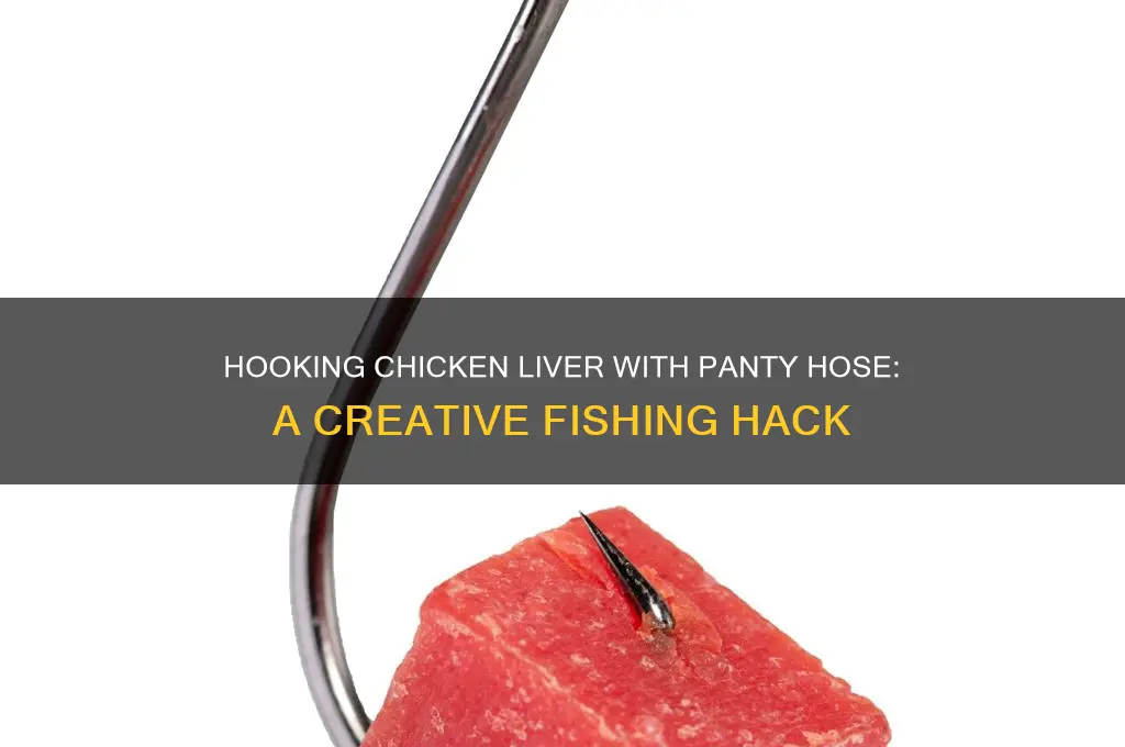 Hooking Chicken Liver With Panty Hose: A Creative Fishing Hack | CyChicken