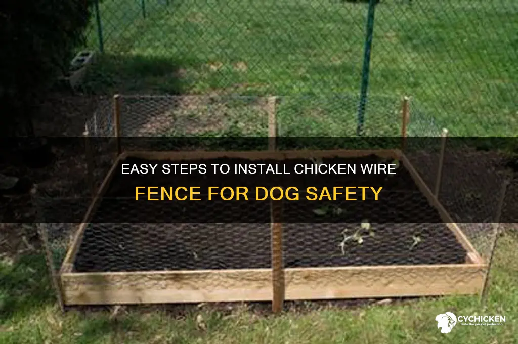Easy Steps To Install Chicken Wire Fence For Dog Safety | CyChicken