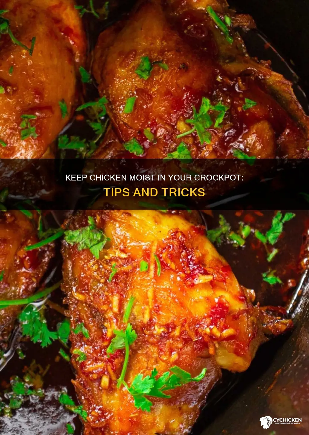 Keep Chicken Moist In Your Crockpot: Tips And Tricks | CyChicken