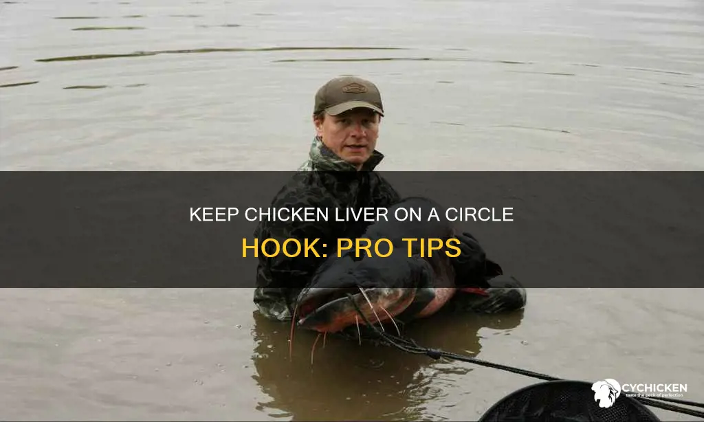 Keep Chicken Liver On A Circle Hook: Pro Tips | CyChicken