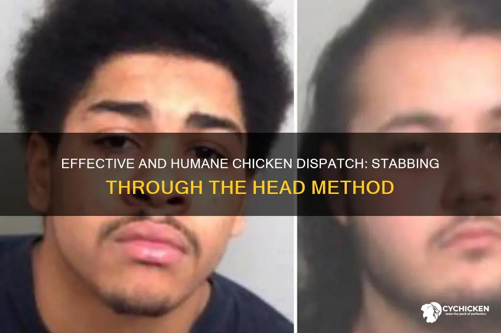 Effective And Humane Chicken Dispatch: Stabbing Through The Head Method ...
