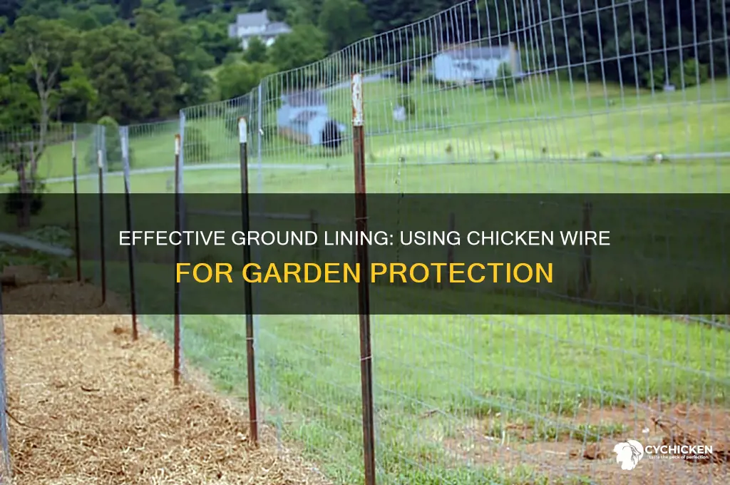 Effective Ground Lining: Using Chicken Wire For Garden Protection ...