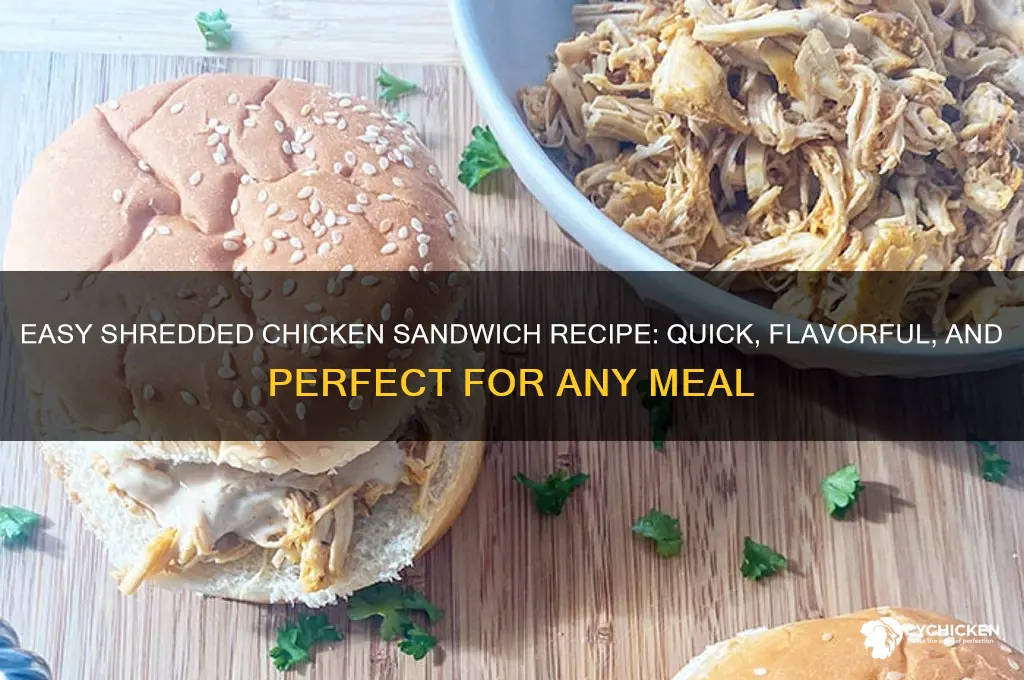 Easy Shredded Chicken Sandwich Recipe: Quick, Flavorful, And Perfect ...