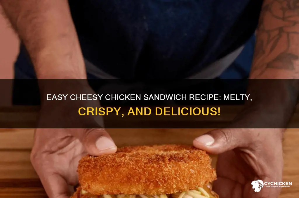 Easy Cheesy Chicken Sandwich Recipe: Melty, Crispy, And Delicious ...
