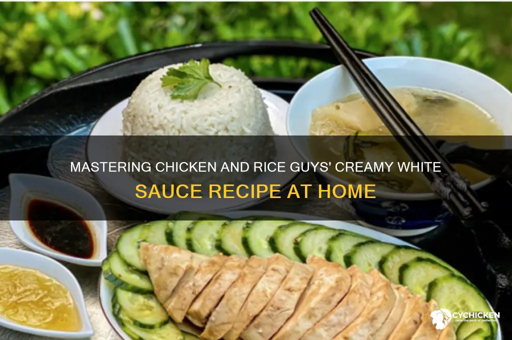 Mastering Chicken And Rice Guys' Creamy White Sauce Recipe At Home ...