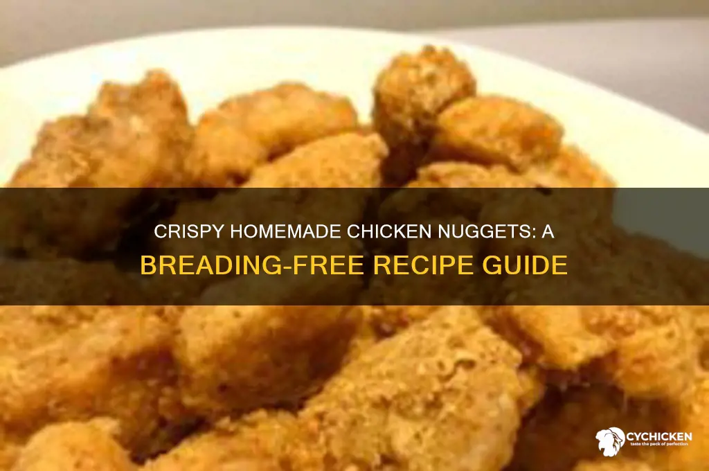 Crispy Homemade Chicken Nuggets: A Breading-Free Recipe Guide | CyChicken