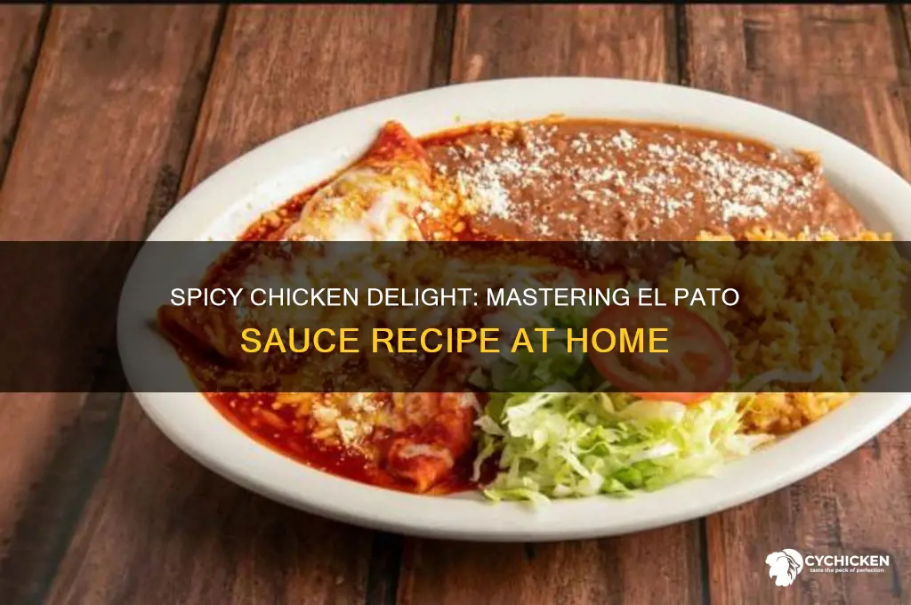 Spicy Chicken Delight: Mastering El Pato Sauce Recipe At Home | CyChicken