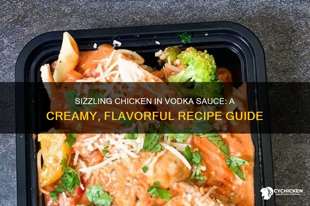 Sizzling Chicken In Vodka Sauce: A Creamy, Flavorful Recipe Guide ...