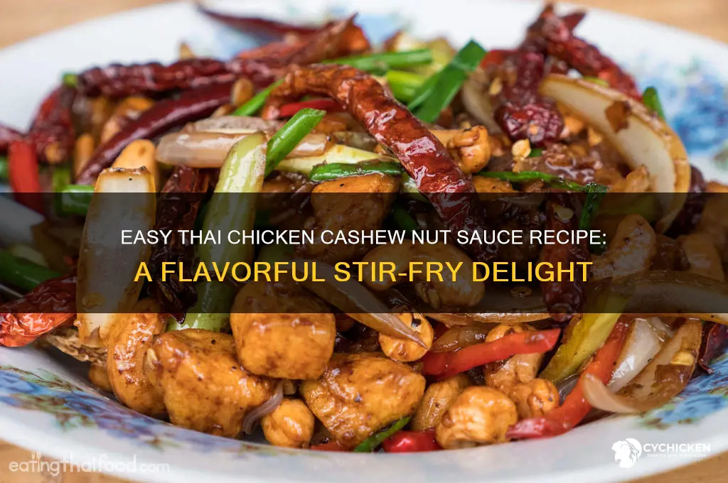 Easy Thai Chicken Cashew Nut Sauce Recipe: A Flavorful Stir-Fry Delight ...