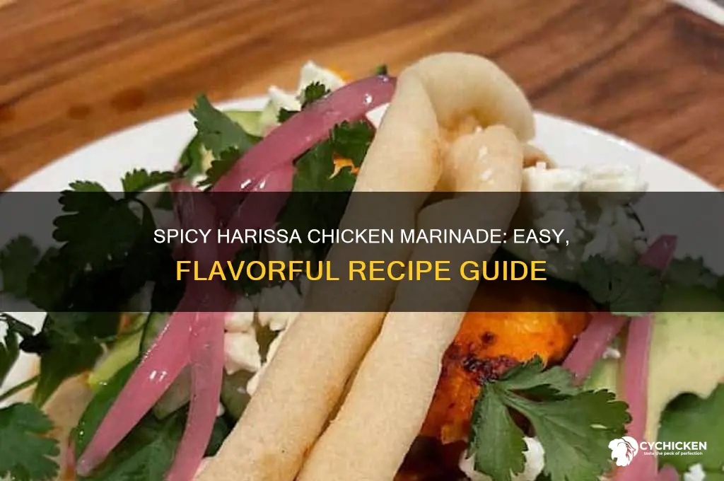 Spicy Harissa Chicken Marinade: Easy, Flavorful Recipe Guide | CyChicken