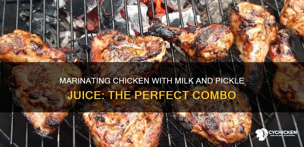 Marinating Chicken With Milk And Pickle Juice: The Perfect Combo ...