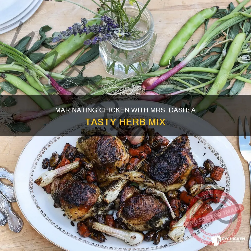 Marinating Chicken With Mrs. Dash: A Tasty Herb Mix | CyChicken