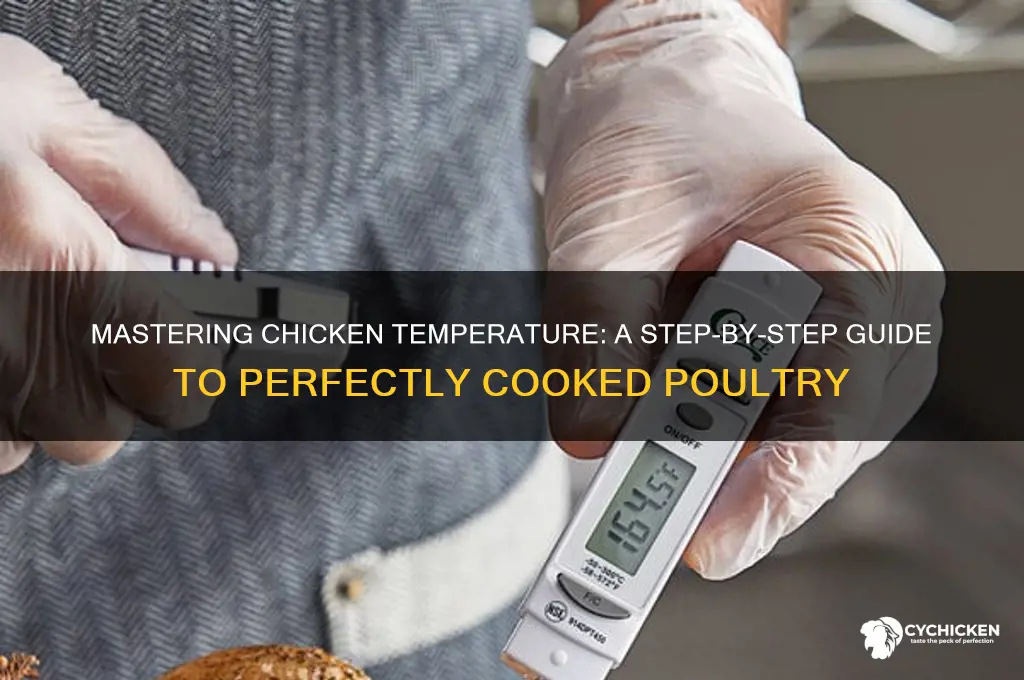 Mastering Chicken Temperature: A Step-By-Step Guide To Perfectly Cooked ...