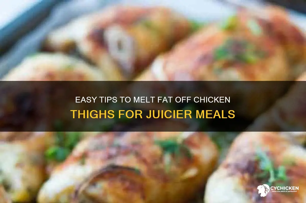 Easy Tips To Melt Fat Off Chicken Thighs For Juicier Meals | CyChicken