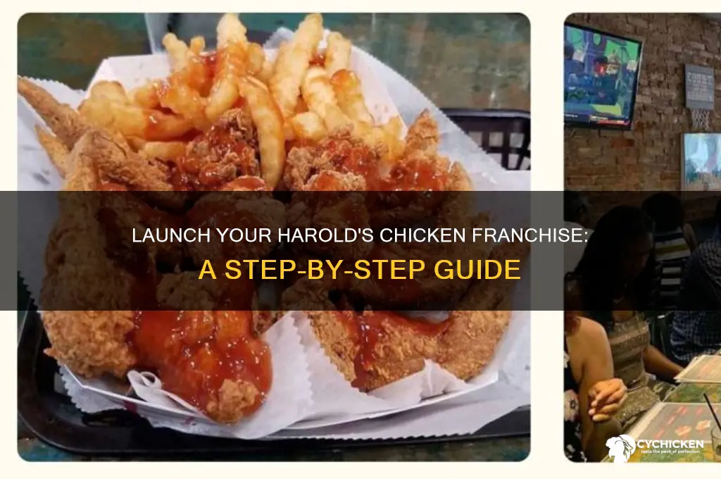 Launch Your Harold's Chicken Franchise: A Step-By-Step Guide | CyChicken
