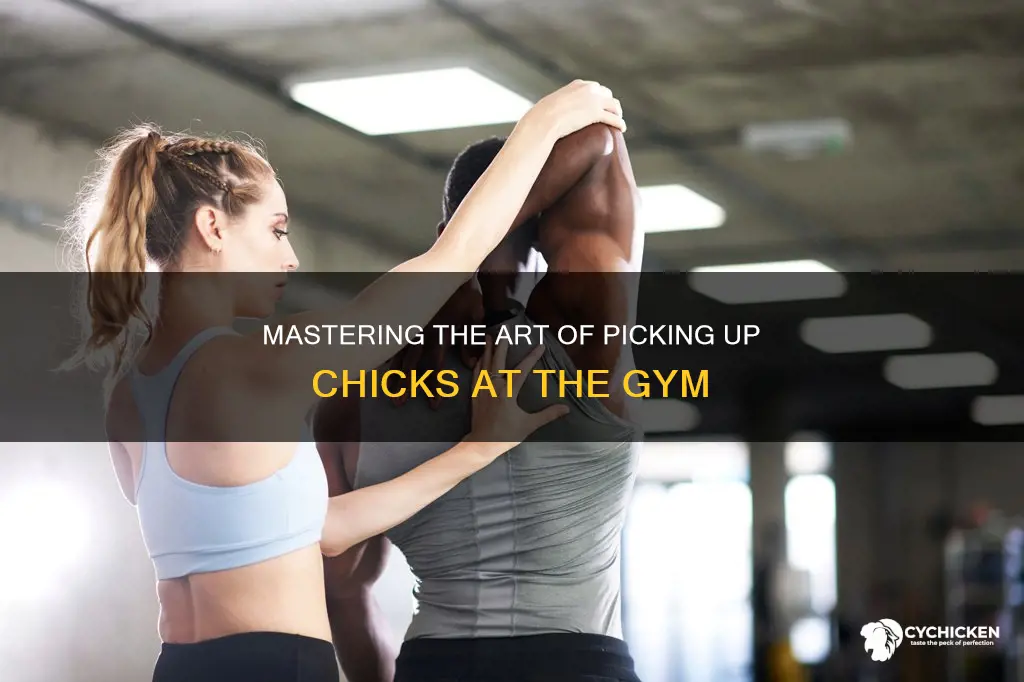 Mastering The Art Of Picking Up Chicks At The Gym | CyChicken